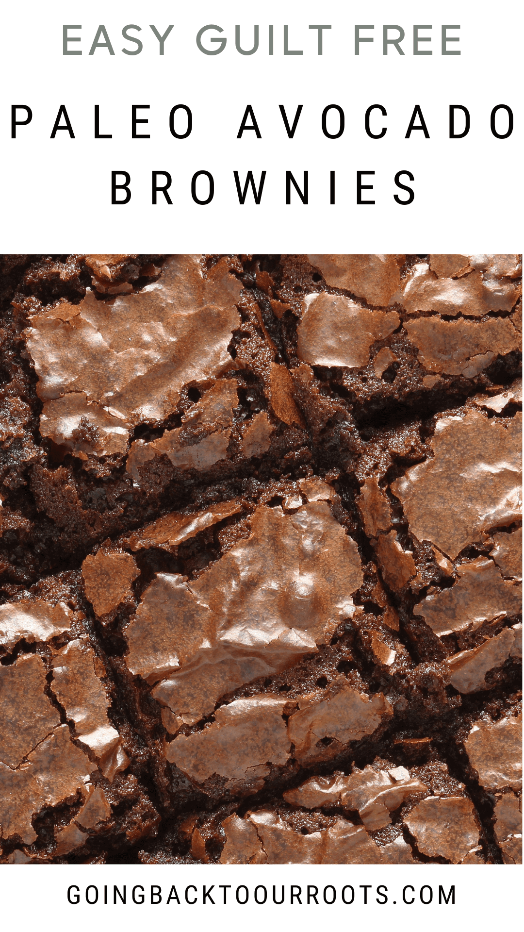Ooey-Gooey Paleo Avocado Brownies - Going Back to Our Roots